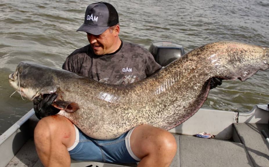 WAARSCHUWING: Meerval in NL - Weet waar je aan begint - Roofmeister