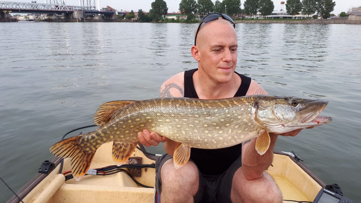 ROOFMEISTER INSIDE – Zeebaars stekken in de Europoort & actuele ...