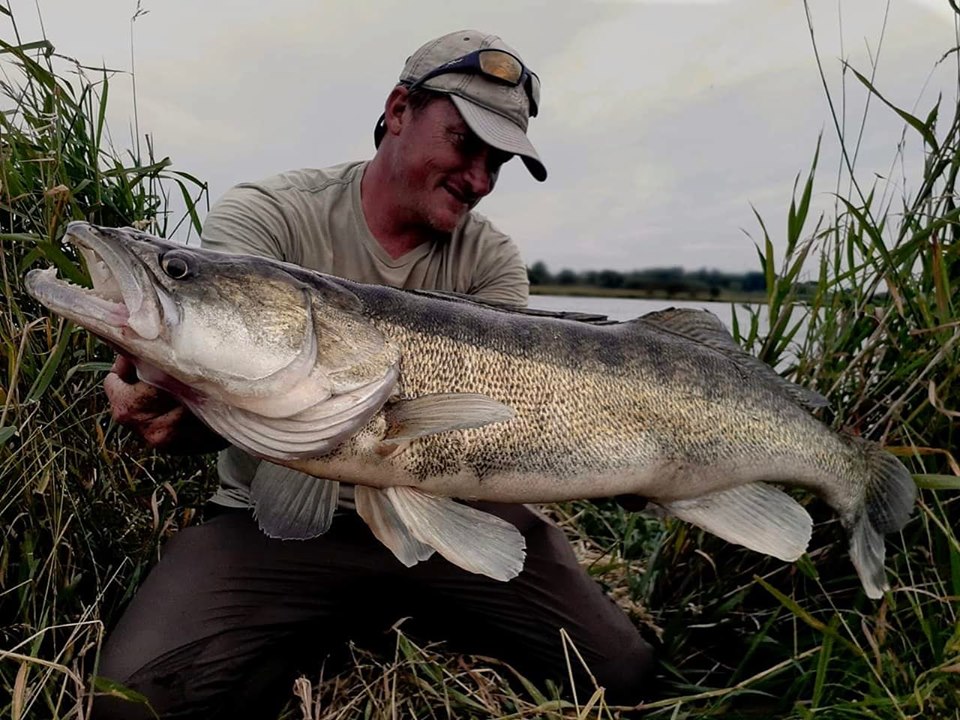 ROOFMEISTER INSIDE – Zeebaars stekken in de Europoort & actuele ...
