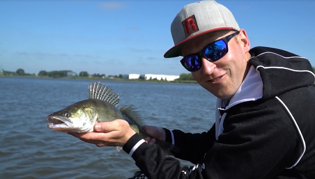 ROOFMEISTER INSIDE – Zeebaars stekken in de Europoort & actuele ...
