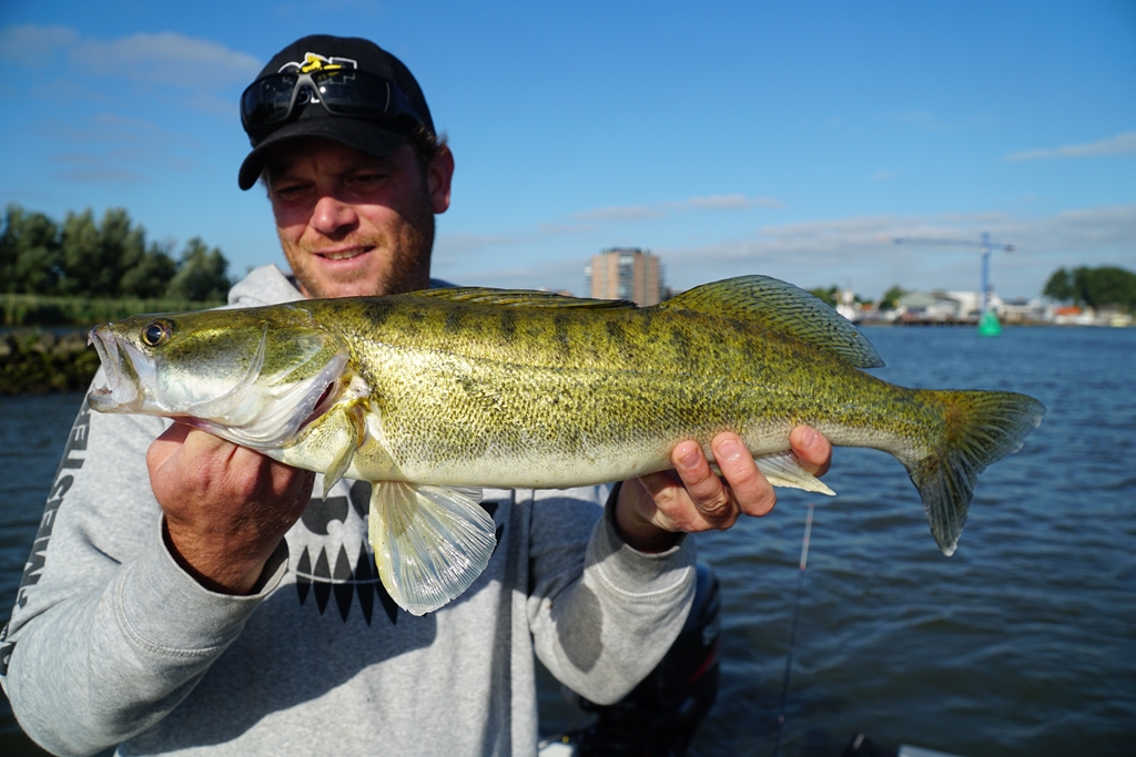 ROOFMEISTER INSIDE – Zeebaars stekken in de Europoort & actuele ...