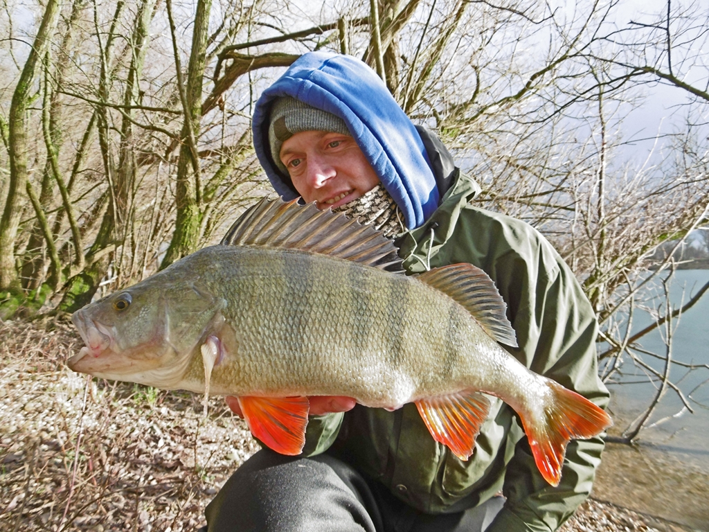 Drie 50+ baarzen in een uur tijd – Leren van niets vangen - Roofmeister
