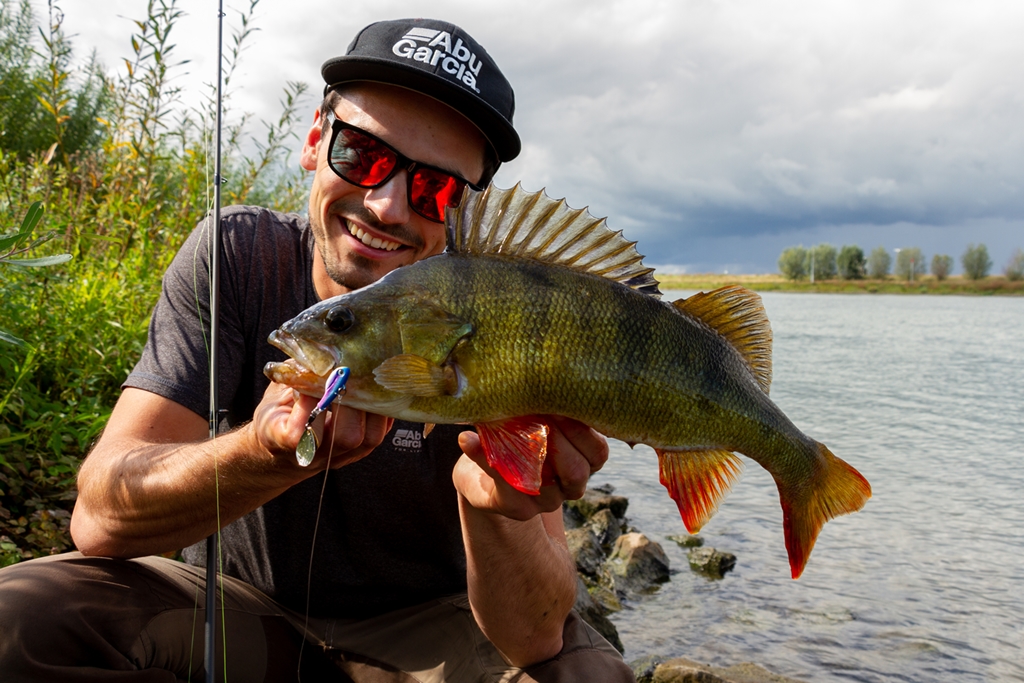 De TOP 3 voor baars van Simon Torenbeek - Spinners, topwater en shads ...