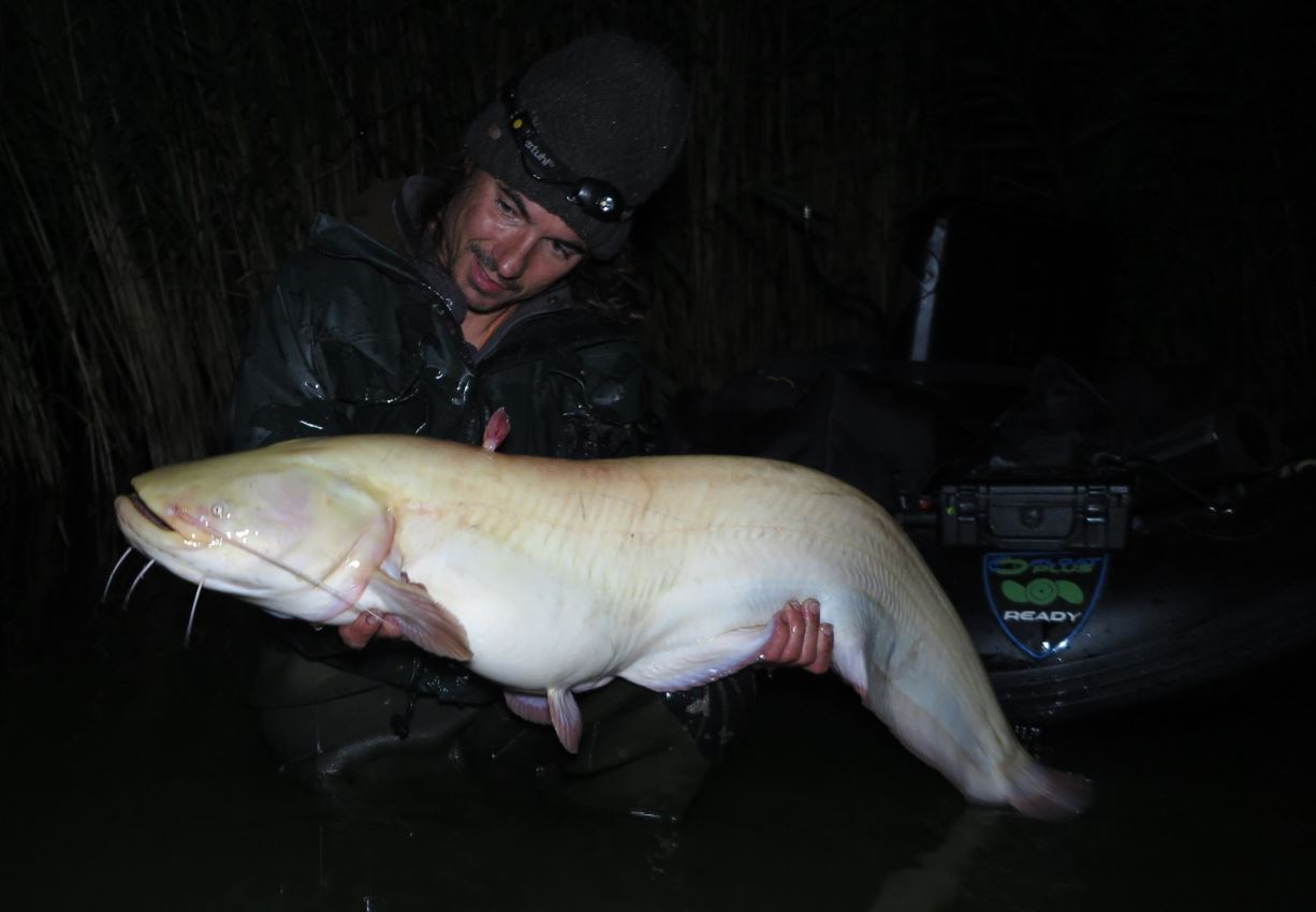Waarom je het best vanuit een bellyboat op meerval kunt vissen - Thomas ...