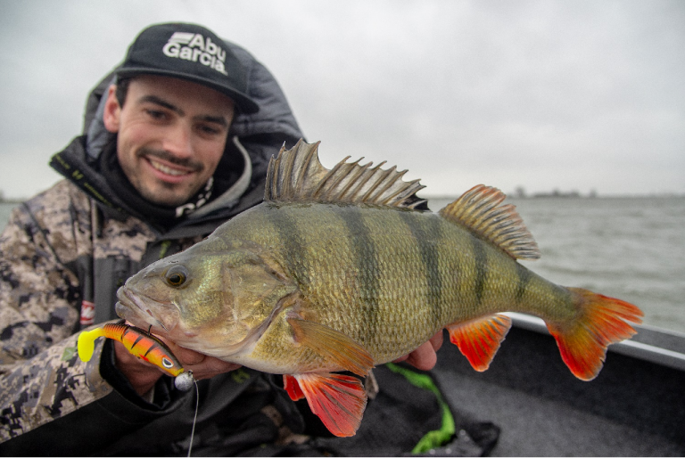 Dit heb je nodig voor het vangen van grote baars - Tips van Luc Coppens ...