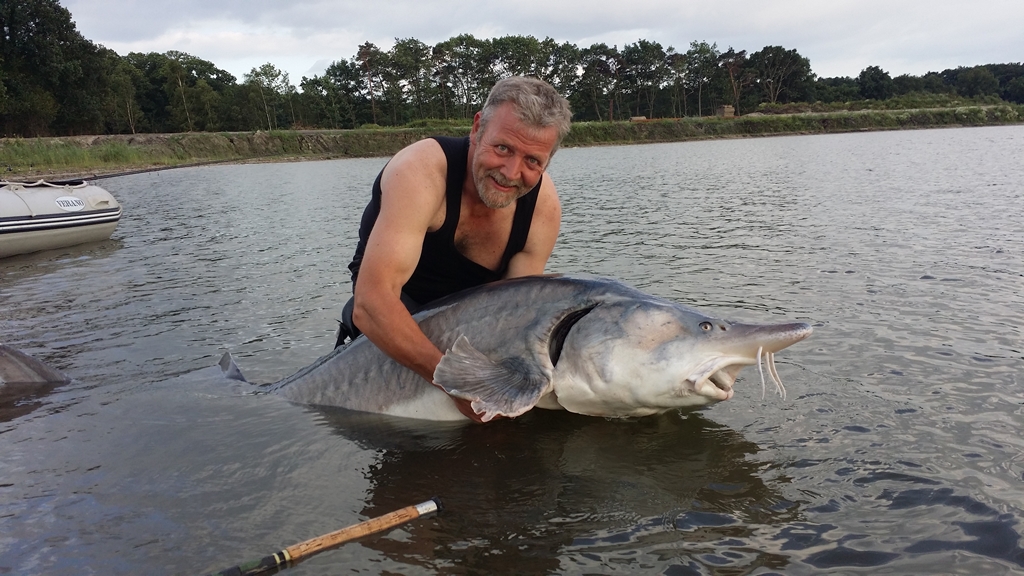Steuren sleuren vanuit de bellyboat - Nederlandse vissen van over de 2 ...