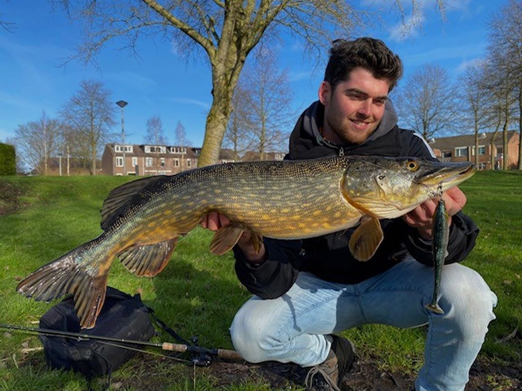 5 top stekken voor snoek – Hier moet je als kantvisser wezen! - Roofmeister