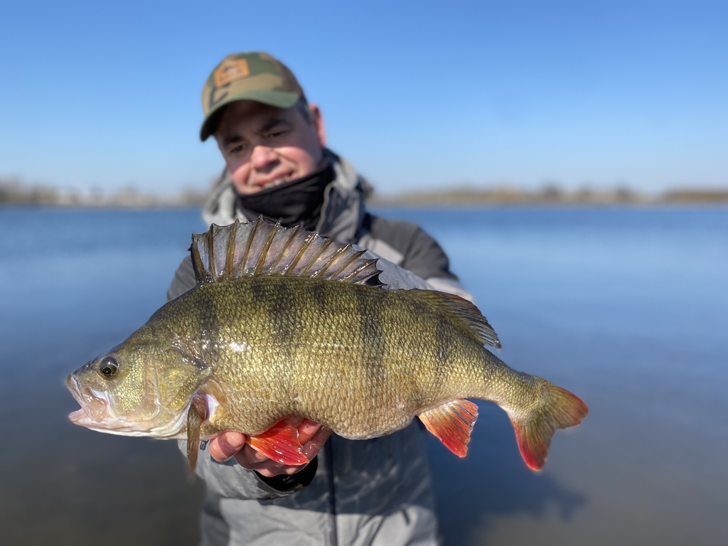 Carl Greve in de startblokken voor zeebaars - Gesloten tijd kent hij ...