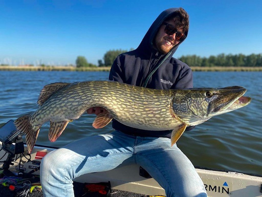 Dit moet je weten over snoek, snoekbaars en baars voor het nieuwe ...