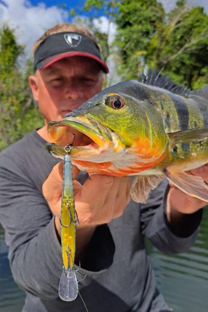 Een droomreis in Panama - vissen op Peacock bass - Roofmeister