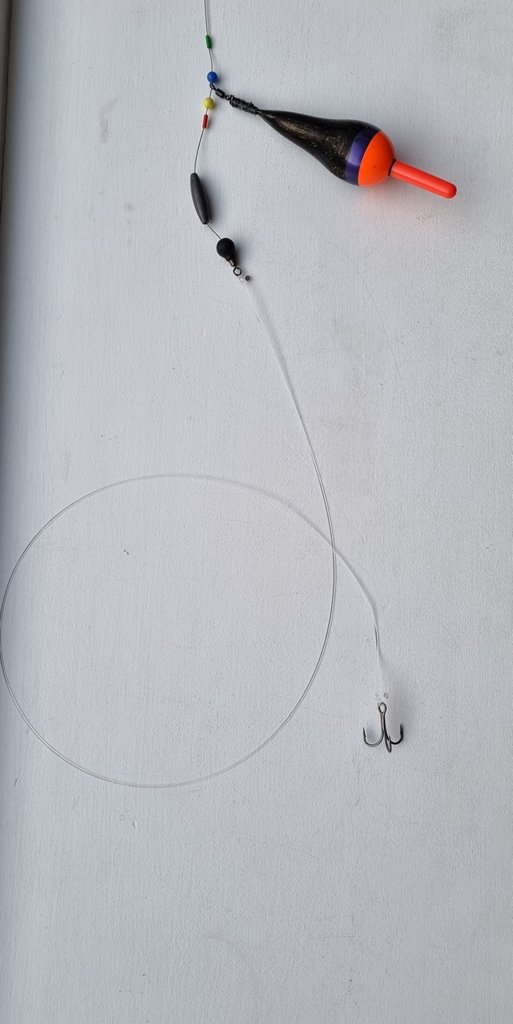 Zo vis je met dood aas op snoek! - Roofmeister