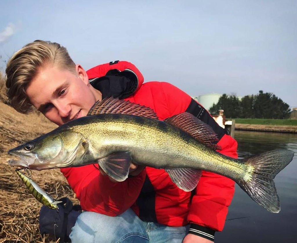 Vier succesvolle technieken voor de ondiepe visserij op snoekbaars ...