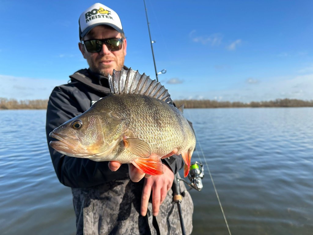 4 veel gemaakte fouten bij het vissen op grote baars - Roofmeister