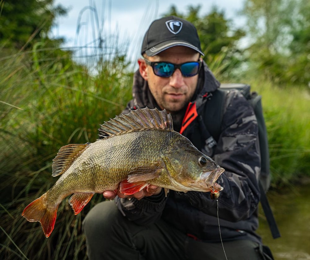 Roofmeister INSIDE: Wat is er gevangen & baars op oppervlaktekunstaas ...