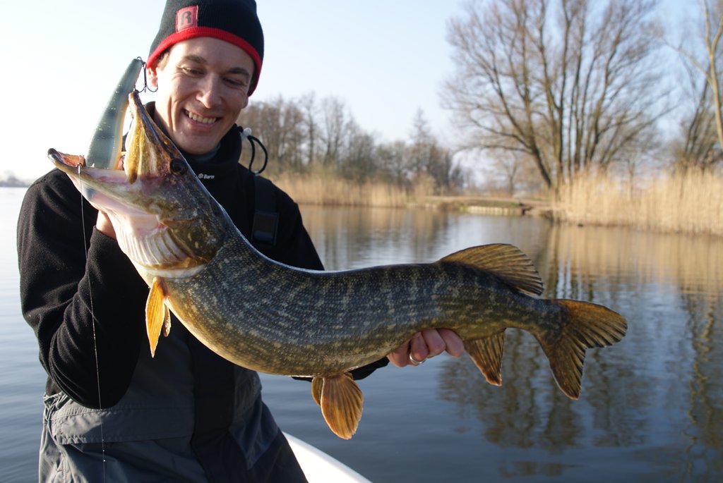 Kunstaas estafette - Top 3 kunstaas voor baars van David van Maanen ...