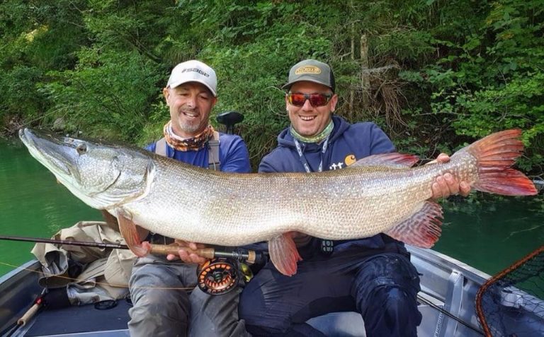 Is dit het nieuwe wereldrecord snoek?! - Roofmeister