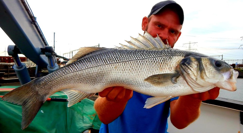 Zeebaars wall of fame 2023! - Roofmeister