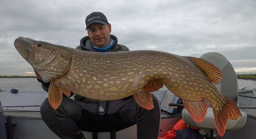 Roofmeister INSIDE: Actuele vangsten & op snoek vissen in een andere ...