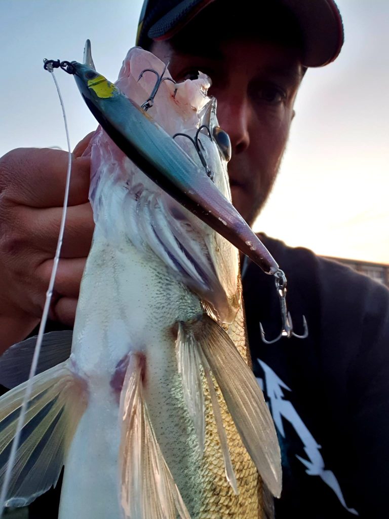 Kunstaas estafette - Top 3 kunstaas voor snoekbaars van Hans van de ...