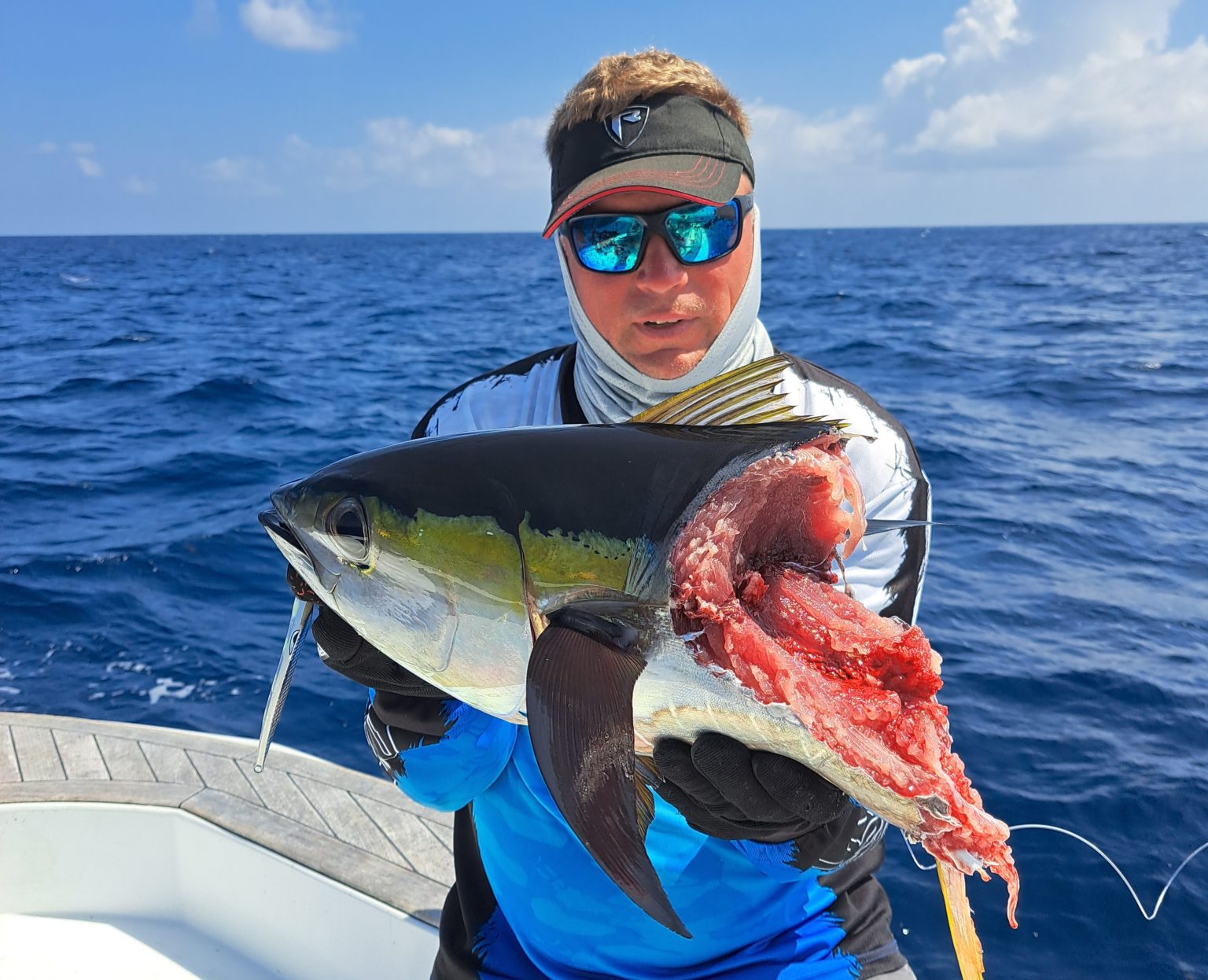 Is dit de allermooiste vis ter wereld? Haaien die je vangst aan gort ...