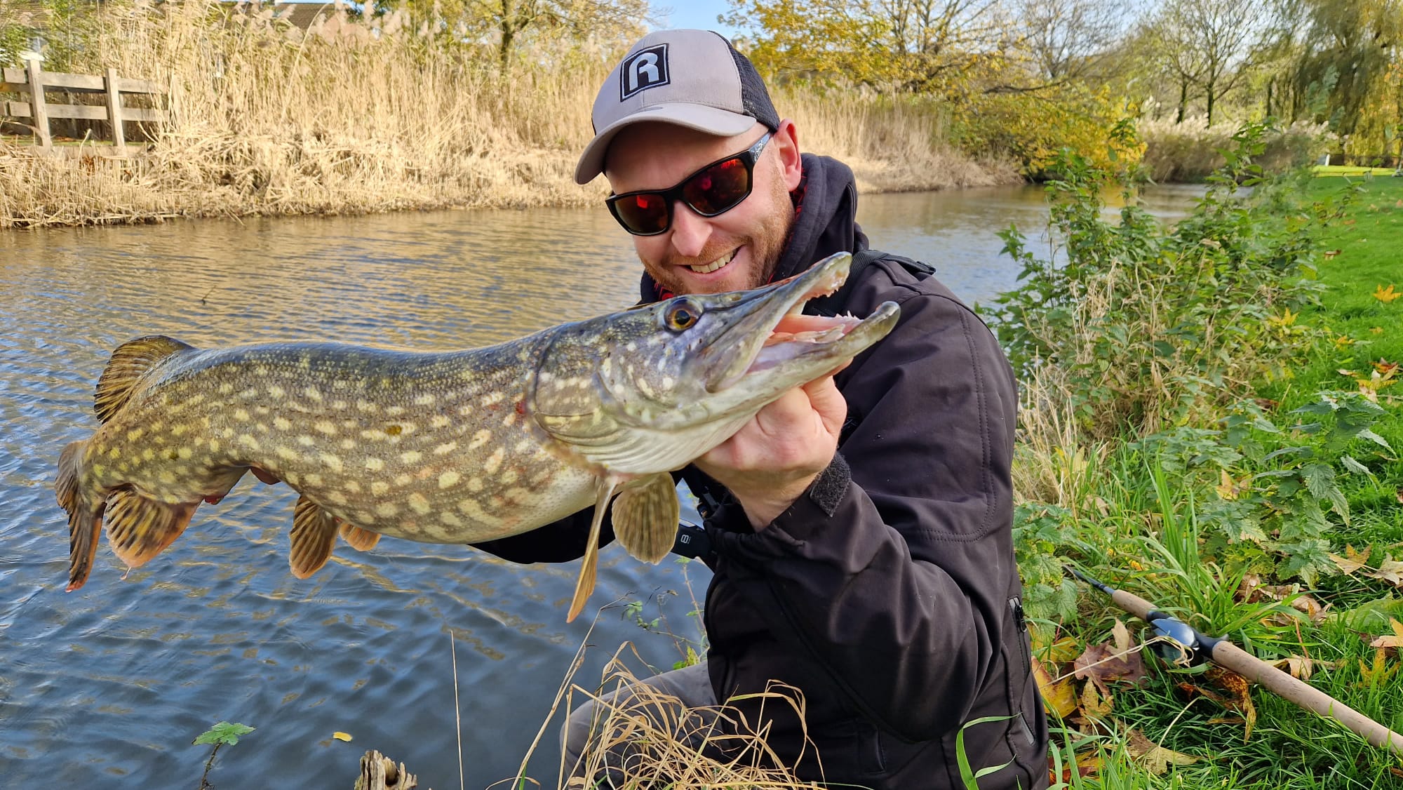 Hit & run - snel snoek vangen! - Roofmeister