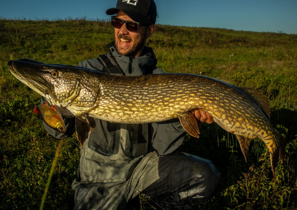 Kunstaas estafette - Top 3 kunstaas voor snoek van Rob Nullens ...