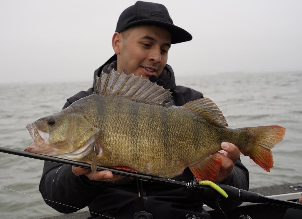 Welke techniek werkt wanneer op big ass baars! - Roofmeister