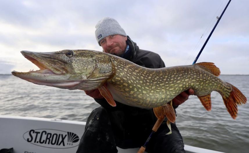 High-end snoekhengels voor polders tot de grootste meren - Roofmeister