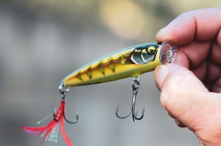 Dit zijn vijf tips voor het vissen op roofblei! - Roofmeister